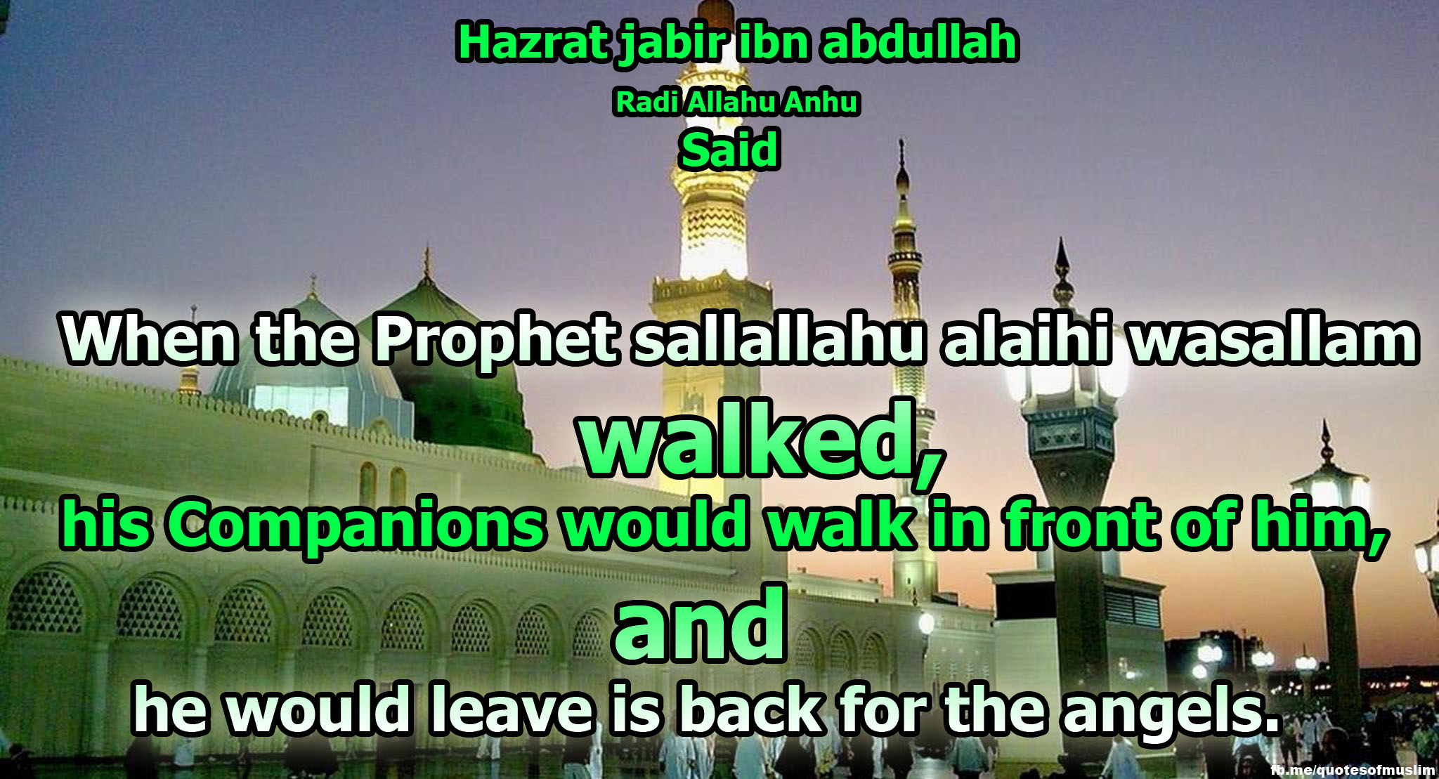 Beloved Prophet ﷺ English Books Section