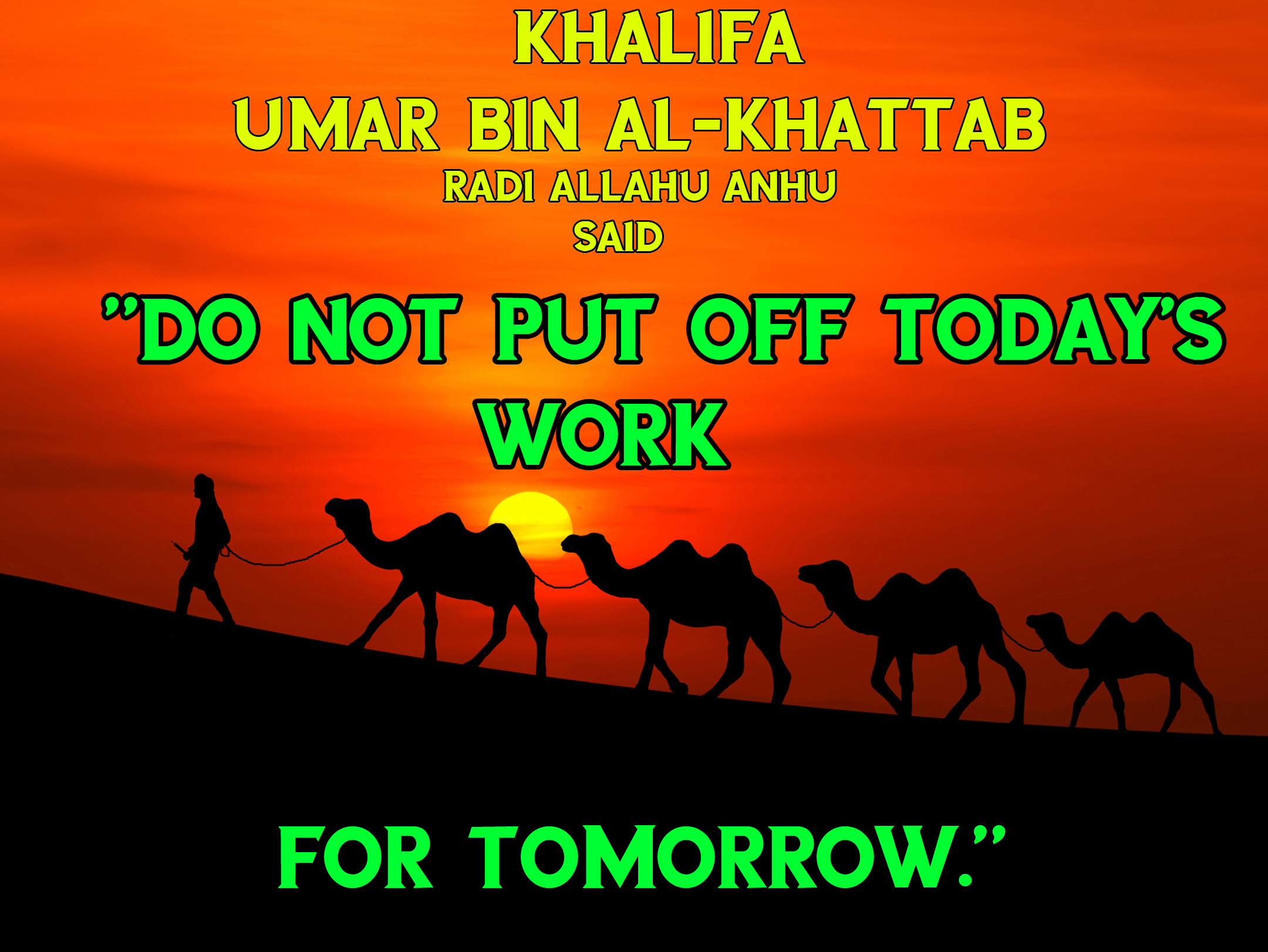 Hazrat Umar Ibn e Khattabؓ Books Section
